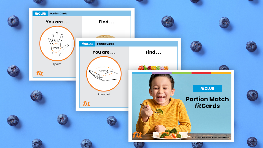 fitClub Portion Match Activity Cards | Sanford Fit