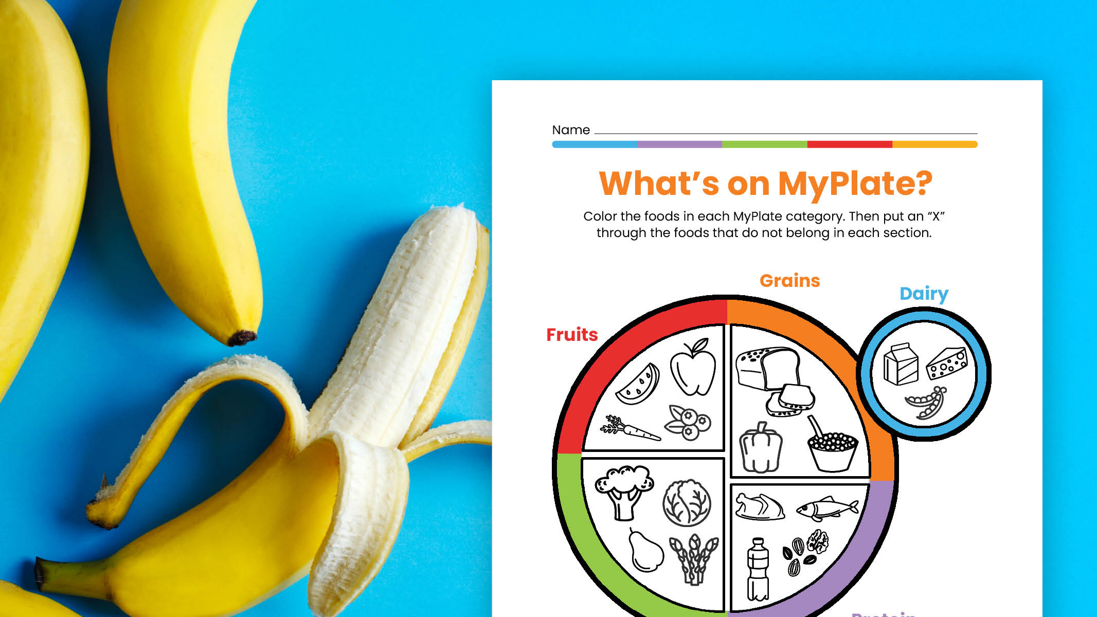 What's on MyPlate? | Sanford Fit
