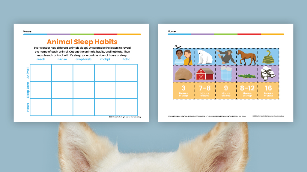 Animal Sleep Habits | Sanford Fit